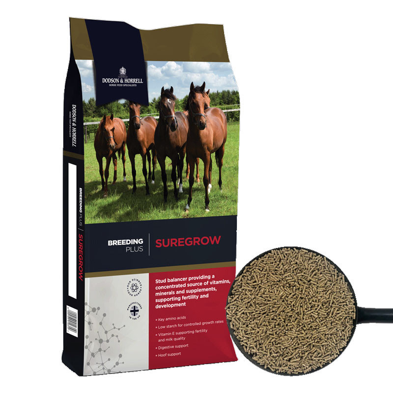 D&H Suregrow 20kg BAG | Equine America | Equi-Box